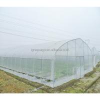 China Winter Performance Single-span Agricultural Greenhouse with PE Film Cover Low Cost Hot Sale for sale