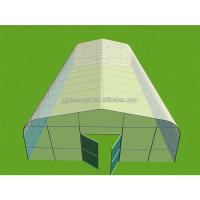 China Winter Performance Single-span Agricultural Greenhouse with PE Film Cover Low Cost Hot Sale for sale