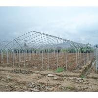 China Agricultural Single-Span Tomato Greenhouse Frame PE Plastic Film for Plant Growth for sale
