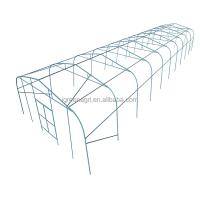 China Agricultural Single-Span Tomato Greenhouse Frame PE Plastic Film for Plant Growth for sale
