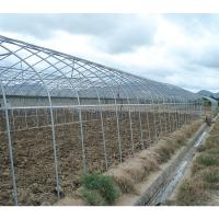 China Agricultural Single-Span Tomato Greenhouse Frame PE Plastic Film for Plant Growth for sale