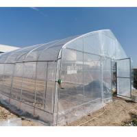 China Agricultural Single-Span Tomato Greenhouse Frame PE Plastic Film for Plant Growth for sale