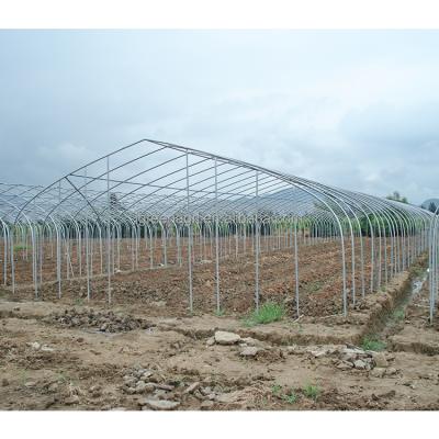 China Agricultural Single-Span Tomato Greenhouse Frame PE Plastic Film for Plant Growth for sale