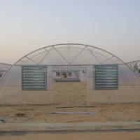 China IGreen Small Single Layer Agricultural Greenhouse with Film Cover for Middle East & Gulf Countries and Desert Climate for sale