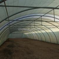 China IGreen Small Single Layer Agricultural Greenhouse with Film Cover for Middle East & Gulf Countries and Desert Climate for sale