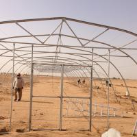 China IGreen Small Single Layer Agricultural Greenhouse with Film Cover for Middle East & Gulf Countries and Desert Climate for sale