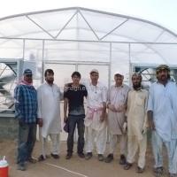 China IGreen Small Single Layer Agricultural Greenhouse with Film Cover for Middle East & Gulf Countries and Desert Climate for sale