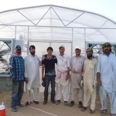 China IGreen Small Single Layer Agricultural Greenhouse with Film Cover for Middle East & Gulf Countries and Desert Climate for sale