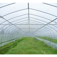 China Green House Net Galvanized Steel Hoop Agricultural Greenhouse with Film Cover for Vegetable & Flowers Growing for sale