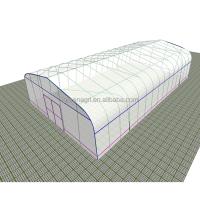 China Green House Net Galvanized Steel Hoop Agricultural Greenhouse with Film Cover for Vegetable & Flowers Growing for sale