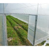 China Green House Net Galvanized Steel Hoop Agricultural Greenhouse with Film Cover for Vegetable & Flowers Growing for sale