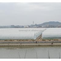 China Green House Net Galvanized Steel Hoop Agricultural Greenhouse with Film Cover for Vegetable & Flowers Growing for sale