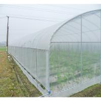 China Green House Net Galvanized Steel Hoop Agricultural Greenhouse with Film Cover for Vegetable & Flowers Growing for sale
