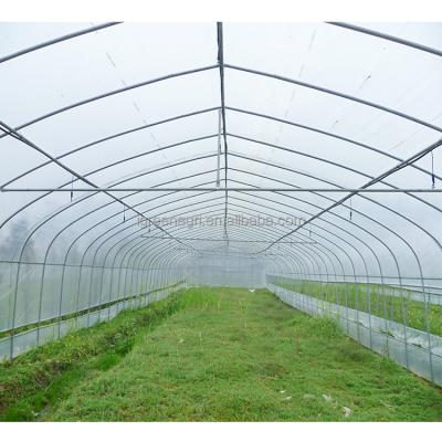 China Green House Net Galvanized Steel Hoop Agricultural Greenhouse with Film Cover for Vegetable & Flowers Growing for sale