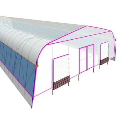 China Single-Span Tunnel Agricultural Greenhouse with PE Film Small Size High Efficiency for Vegetables & Flowers Growing for sale