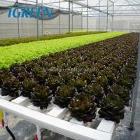 China Strong Structure Large Multi-Span Agricultural Tropical Greenhouses PE Plastic Film Covered Gutter Rain Water Collection for sale