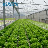 China Strong Structure Large Multi-Span Agricultural Tropical Greenhouses PE Plastic Film Covered Gutter Rain Water Collection for sale