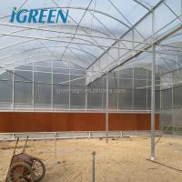 China Strong Structure Large Multi-Span Agricultural Tropical Greenhouses PE Plastic Film Covered Gutter Rain Water Collection for sale