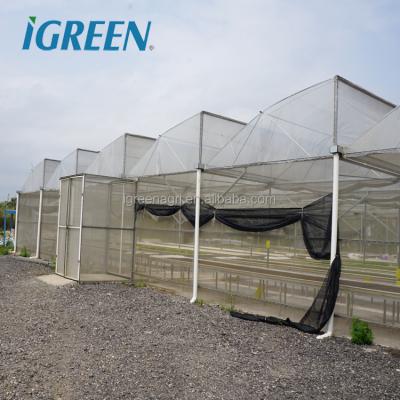 China Strong Structure Large Multi-Span Agricultural Tropical Greenhouses PE Plastic Film Covered Gutter Rain Water Collection for sale
