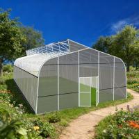 China IGreen Low Cost Easily Assembled Stable Tunnel Greenhouse for Flowers and Plants Single-Span PE Film Greenhouse for sale