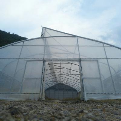China IGreen Mini Small Single-Span Agricultural Greenhouse for Vegetables Flowers Tomatoes Farm & Garden Use Snail Farming for sale