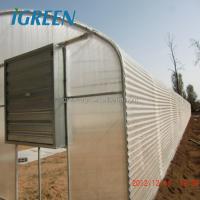 China Single-Span PE PC Sheet Greenhouse for Hot & Arid Regions-Heat-Resistant Agricultural Greenhouse for sale