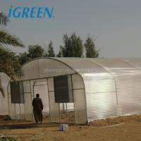 China Single-Span PE PC Sheet Greenhouse for Hot & Arid Regions-Heat-Resistant Agricultural Greenhouse for sale