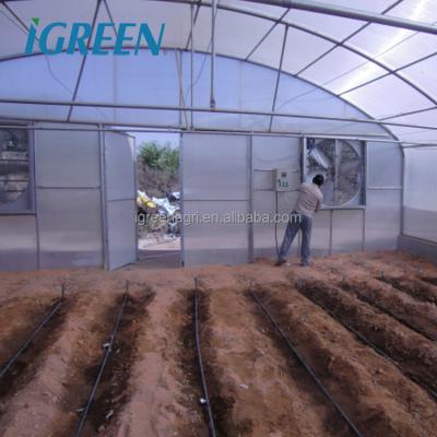 China Single-Span PE PC Sheet Greenhouse for Hot & Arid Regions-Heat-Resistant Agricultural Greenhouse for sale
