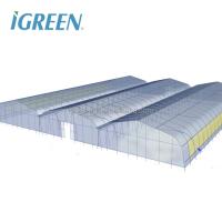 China Commercial Large Single Layer Film Greenhouse with Cooling Pad Fan Internal External Shading Drip Irrigation Hydroponics System for sale