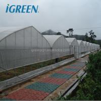 China Commercial Large Single Layer Film Greenhouse with Cooling Pad Fan Internal External Shading Drip Irrigation Hydroponics System for sale