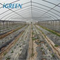 China Commercial Large Single Layer Film Greenhouse with Cooling Pad Fan Internal External Shading Drip Irrigation Hydroponics System for sale
