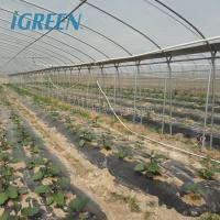 China Commercial Large Single Layer Film Greenhouse with Cooling Pad Fan Internal External Shading Drip Irrigation Hydroponics System for sale