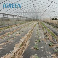 China Commercial Large Single Layer Film Greenhouse with Cooling Pad Fan Internal External Shading Drip Irrigation Hydroponics System for sale