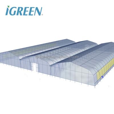 China Commercial Large Single Layer Film Greenhouse with Cooling Pad Fan Internal External Shading Drip Irrigation Hydroponics System for sale