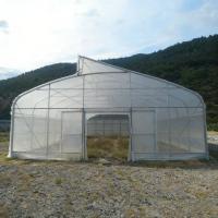 China 200 Micron Film Greenhouse 60mm Hot Dip Galvanized Round Pipe Roof Fixed Window Insect Net for Tropical High Temp Humid Area for sale