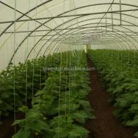China Polycarbonate Sheet Single-Span PE Greenhouse 60mm Galvanized Pipe Cooling Fan Drip Irrigation for Saudi High Temperature for sale