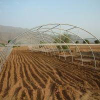 China Polycarbonate Sheet Single-Span PE Greenhouse 60mm Galvanized Pipe Cooling Fan Drip Irrigation for Saudi High Temperature for sale