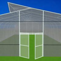 China Tropical Single-Span PE Greenhouse 200 Micron Film 60mm Galvanized Pipe Insect Screen Roof Window Heat Exhaust Easy Installation for sale
