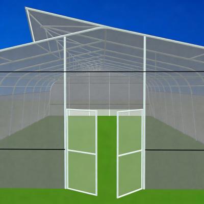 China Tropical Single-Span PE Greenhouse 200 Micron Film 60mm Galvanized Pipe Insect Screen Roof Window Heat Exhaust Easy Installation for sale