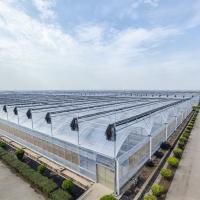 China Large Heavy Duty Multi Span PE Film Greenhouse High Strength Shading Cooling Irrigation Hydroponic System All Climate Adaptation for sale
