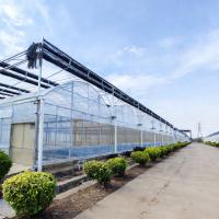 China Large Heavy Duty Multi Span PE Film Greenhouse High Strength Shading Cooling Irrigation Hydroponic System All Climate Adaptation for sale