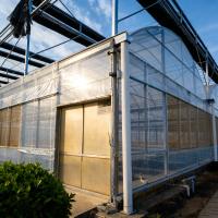 China Large Heavy Duty Multi Span PE Film Greenhouse High Strength Shading Cooling Irrigation Hydroponic System All Climate Adaptation for sale