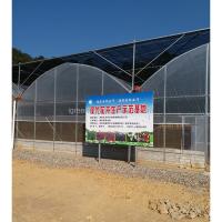 China Large Heavy Duty Multi Span PE Film Greenhouse High Strength Shading Cooling Irrigation Hydroponic System All Climate Adaptation for sale