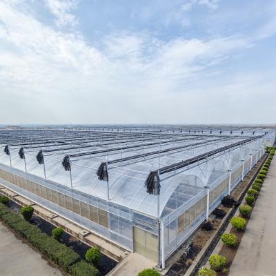 China Large Heavy Duty Multi Span PE Film Greenhouse High Strength Shading Cooling Irrigation Hydroponic System All Climate Adaptation for sale