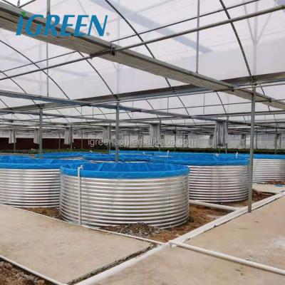 China Customized Shape Corrugated Galvanized Steel Fish Pond Fish Tank PVC Tarpaulin for RAS Recirculating Aquaculture System IGREEN for sale