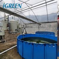 China IGREEN I GAP Aquaponics Growing Systems-Complete System Hydroponics Compatible for sale