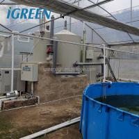 China IGREEN I GAP Aquaponics Growing Systems-Complete System Hydroponics Compatible for sale