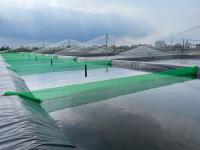 China Fish Tanks Farm Aquaculture Large Fish Farming Tank Aquaculture for sale