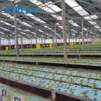 China Photovoltaic Large Multi-Span Agricultural Greenhouse Solar Panel with PC Sheet Cover for Plant Growth 10+ Year Warranty for sale