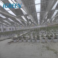 China Photovoltaic Large Multi-Span Agricultural Greenhouse Solar Panel with PC Sheet Cover for Plant Growth 10+ Year Warranty for sale